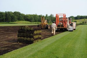 Products - BB Hoffmansod