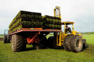 Products - BB Hoffmansod