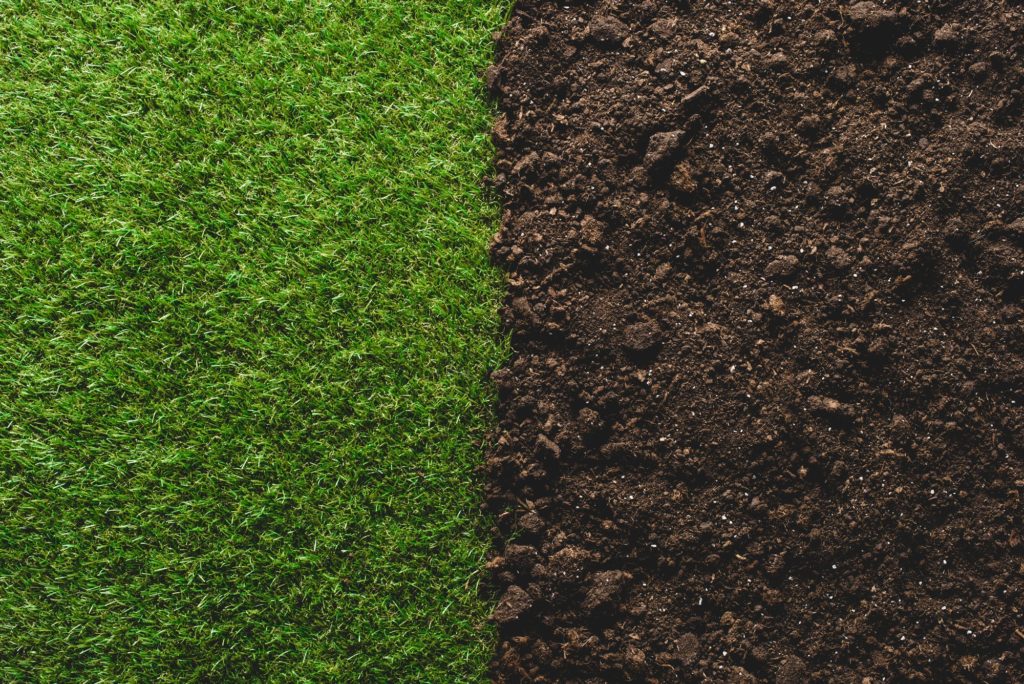 Benefits of Sod | Sod vs Seed - Elk River, Rogers, Maple Grove