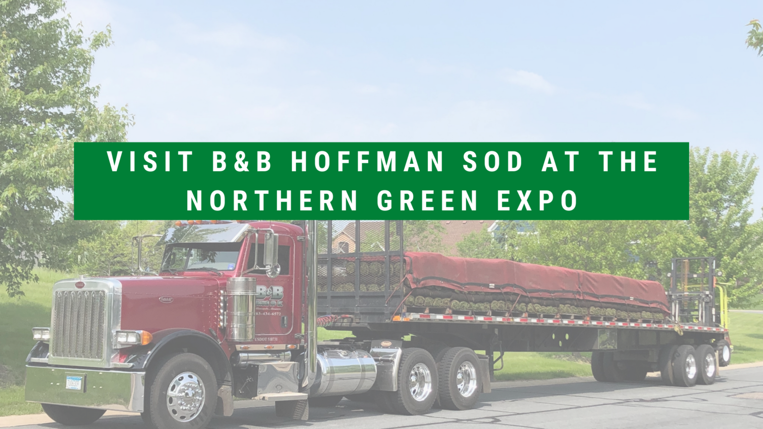 Blog - BB Hoffmansod