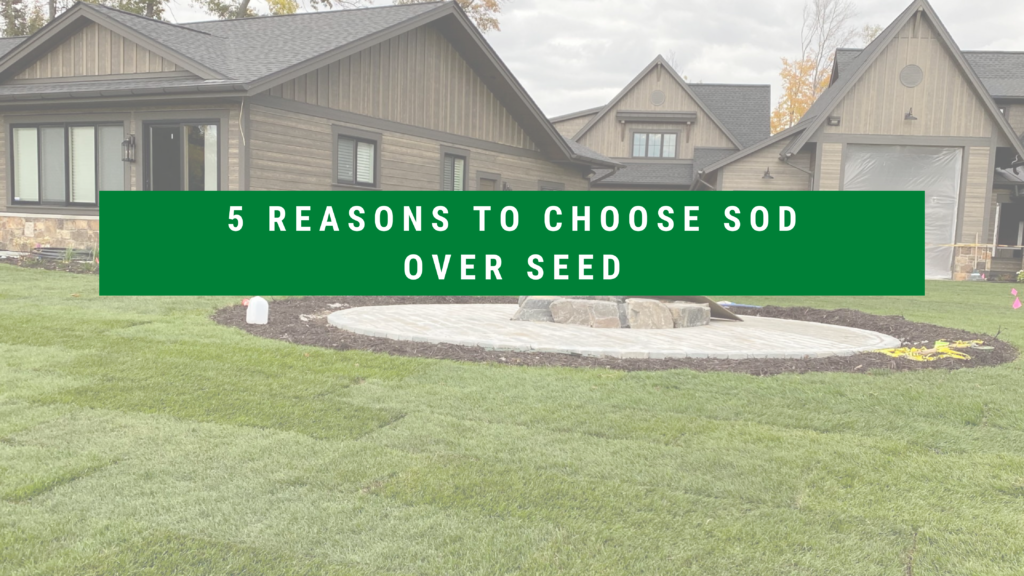 5 Reasons to Choose Sod over Seed - BB Hoffmansod