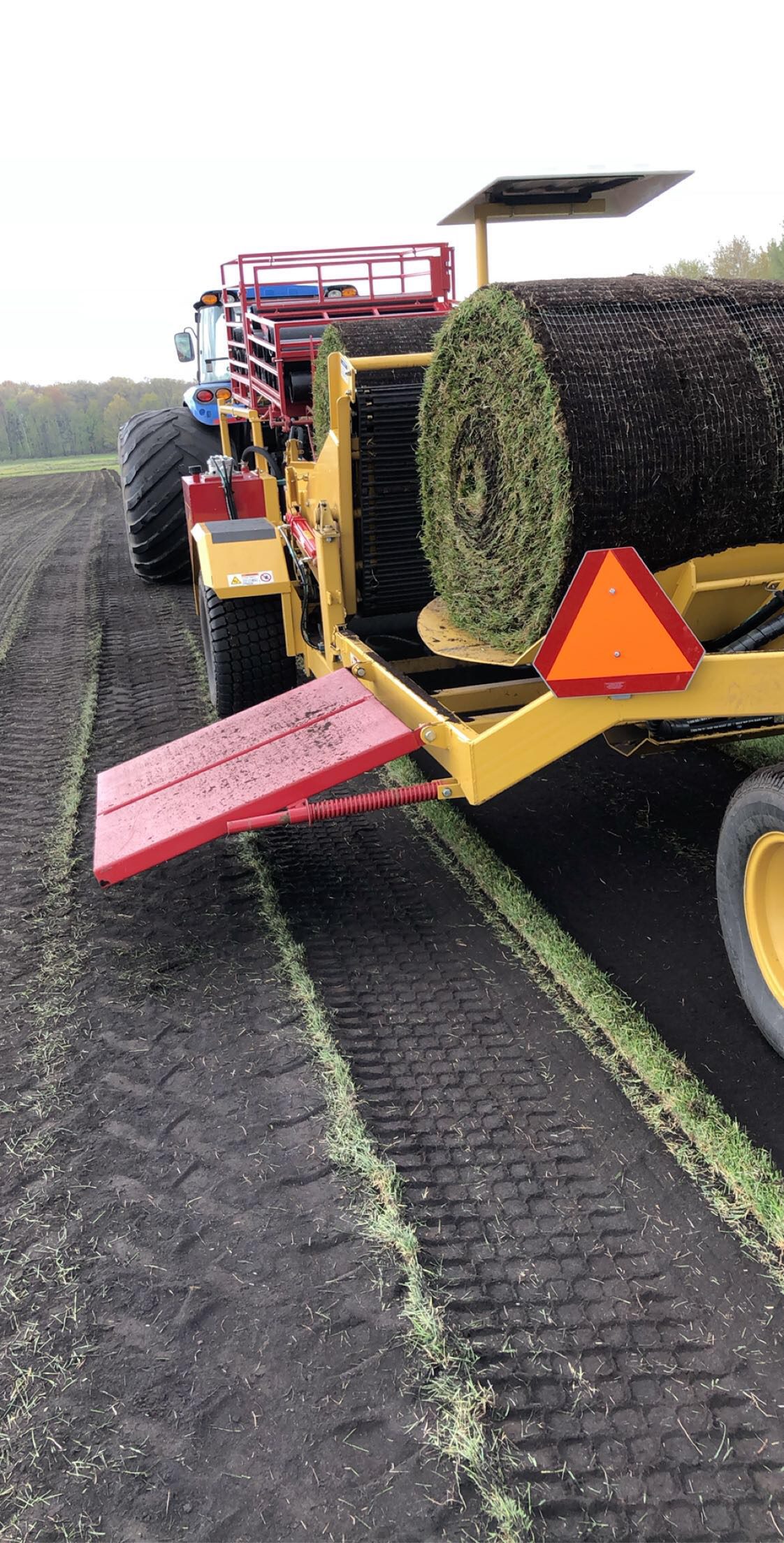 How is sod harvested? - BB Hoffmansod